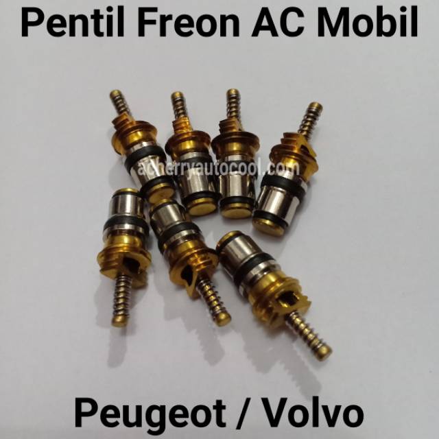 Jual Pentil Freon AC Mobil Peugeot Volvo | Shopee Indonesia