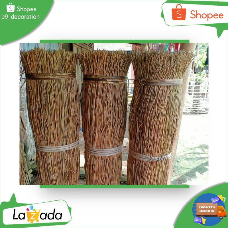 Jual Akar Manon panjang 160 cm isi 100 Batang / akar manon untuk ...