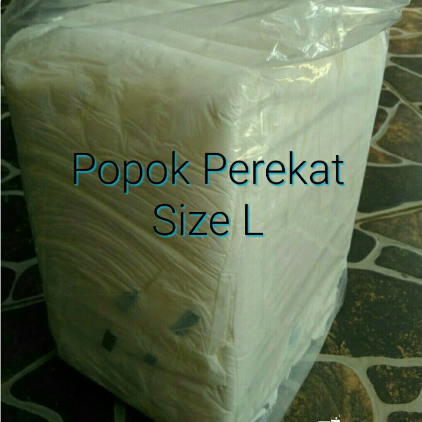 Jual Popok Dewasa Perekat Size L - Curah ( isi 10 pcs ) | Shopee Indonesia