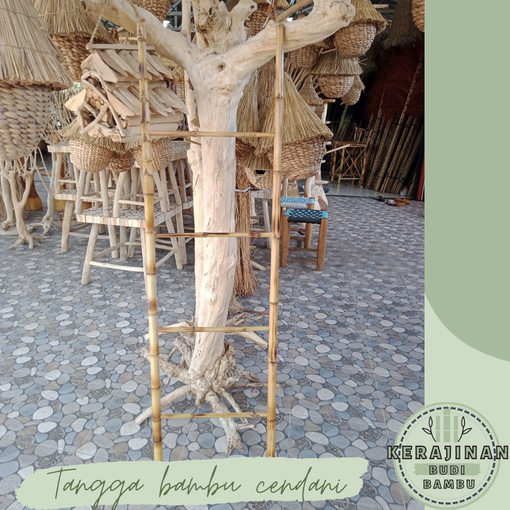 Jual TANGGA BAMBU CENDANI 150cm / CENDANI BAMBOO LADDER / TANGGA ...