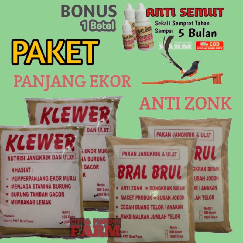 Jual PAKET ANTI ZONK & PANJANG EKOR BURUNG MURAI BATU | Shopee Indonesia Jual PAKET ANTI ZONK & PANJANG EKOR BURUNG MURAI BATU | Shopee Indonesia