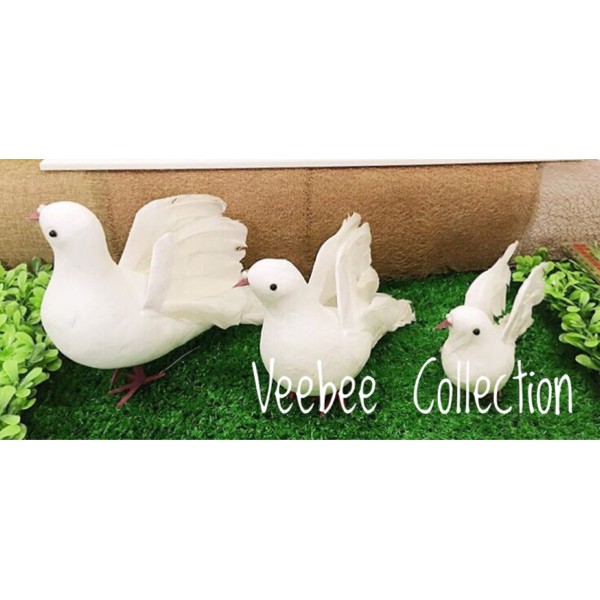 Jual Merpati Besar /burung hias/burung foam/burung gabus/burung merpati ...