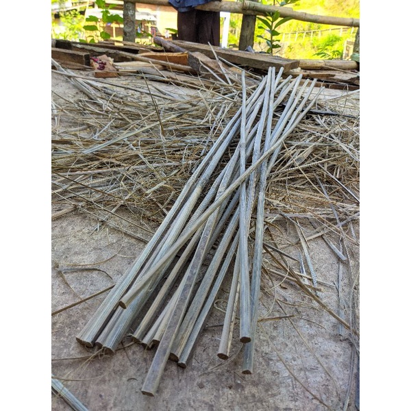 Jual Bilah bambu khusus untuk ajir segala tanaman / buat layang layang ...
