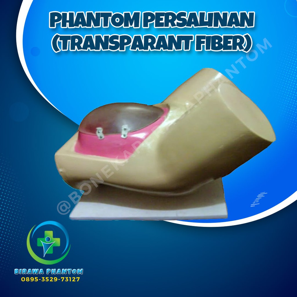 Jual BONEKA PHANTOM PERAGA PERSALINAN TRANSPARANT, FIBER (PP-021-TR ...