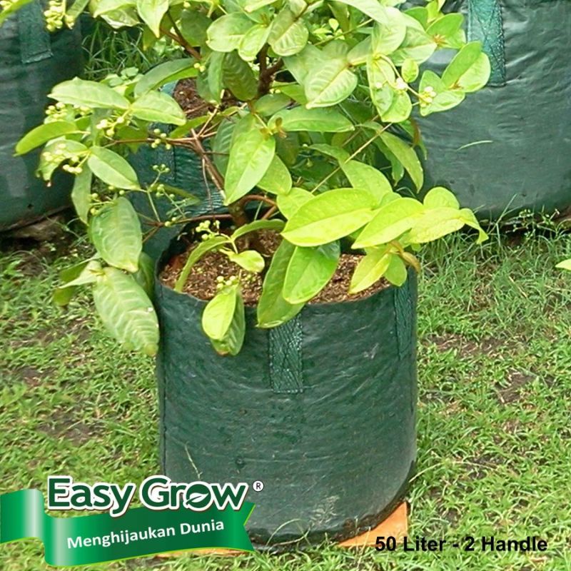 Jual PLANTER BAG 50 LITER EASY GROW / POT TANAMAN MUDAH DI PINDAH / PLATER BAG TAMAN ...