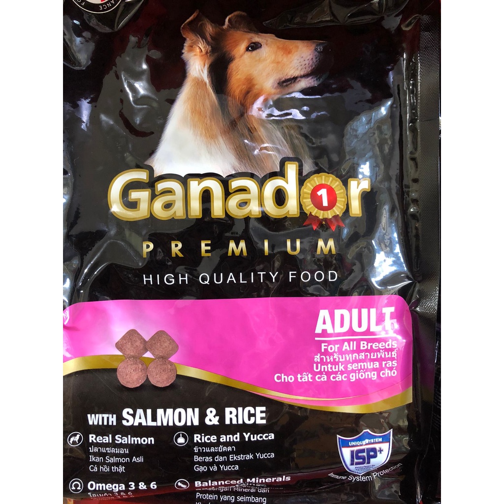 Jual Ganador Adult Salmon & Rice 3kg - Makanan Anjing Kering | Shopee ...