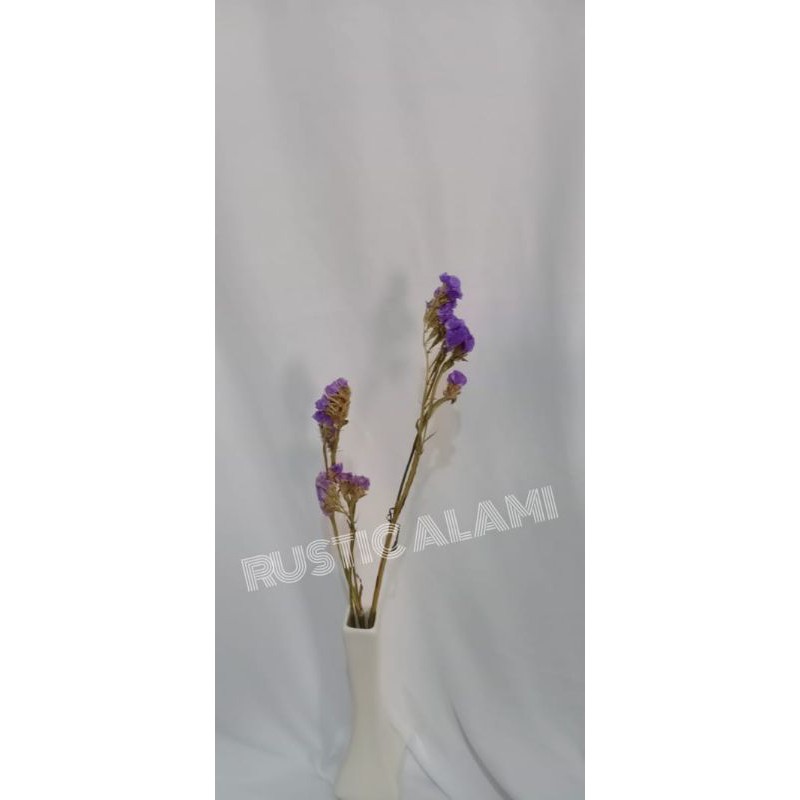 Jual bunga statis - dried statis - statis ungu - bunga kering - bunga ...