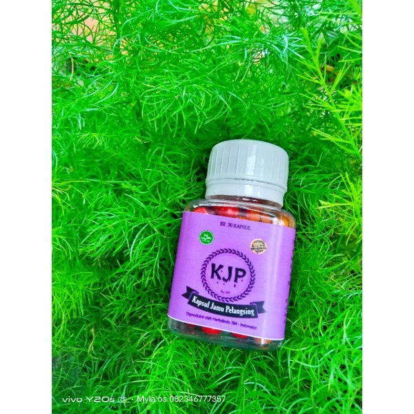 Jual PELANGSING KJP HERBAL (By.MS) | Shopee Indonesia