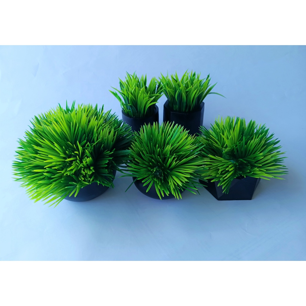 Jual [BLACK] Artifisial Rumput Pot Hitam Artificial Grass Keramik ...