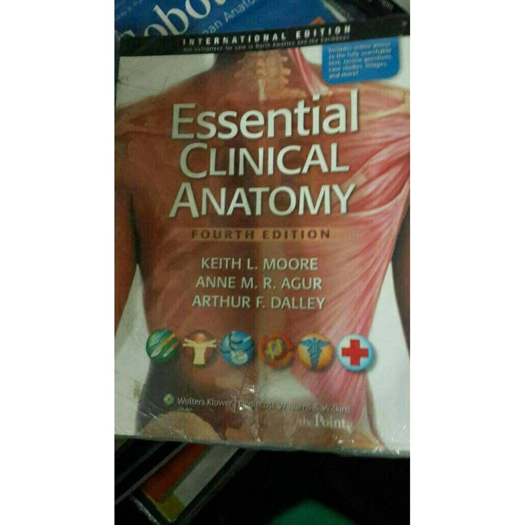 Jual Essential Clinical Anatomy moore 4th edition | Shopee Indonesia