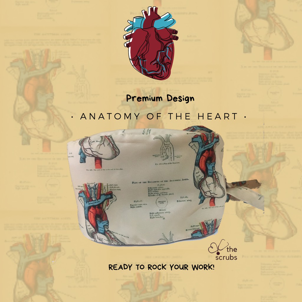 Jual Napoli Premium (Surgical Hat/Surgical Cap) Cardiology 3 (Anatomy ...