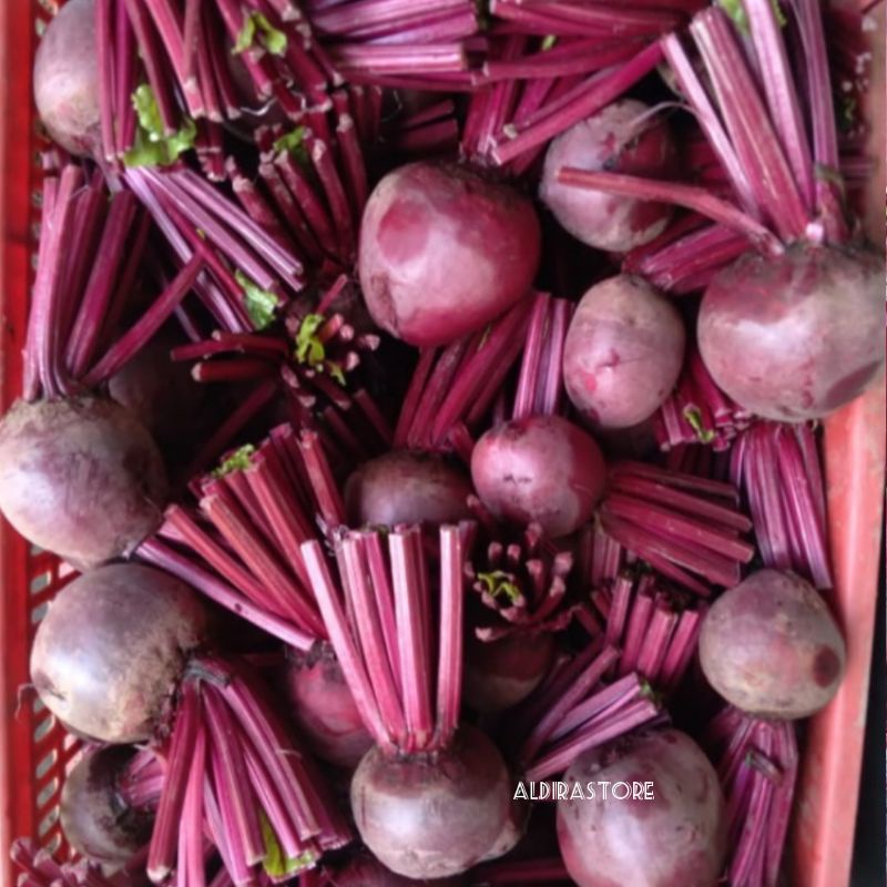 Jual Buah Bit Fresh 1Kg Isi 3-6 Buah | Shopee Indonesia