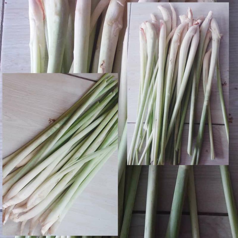 Jual Sereh 1Kg/1000 gr | Shopee Indonesia