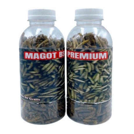Jual MAGGOT PREMIUM 35GR MAGGOT PAKAN IKAN PREMIUM MAGOT BSF | Shopee ...