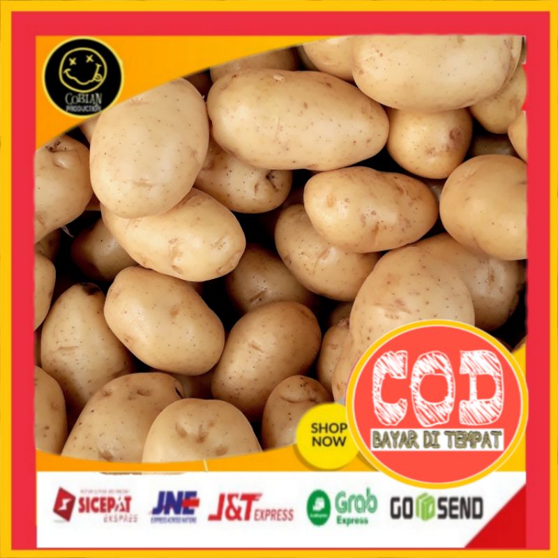Jual Kentang Dieng Besar Dan Kentang Kecil 1Kg Sayuran Segar Sayuran ...