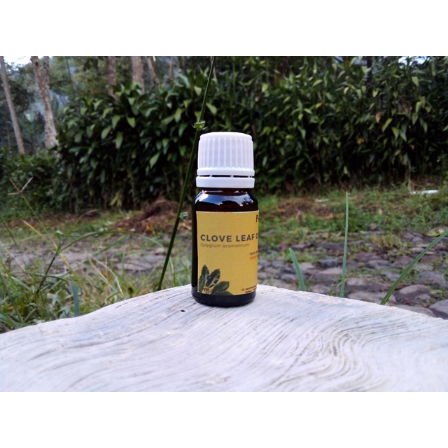Jual 10 ml sampel - minyak daun cengkeh - clove leaf oil (Syzygium aromaticum) | Shopee Indonesia