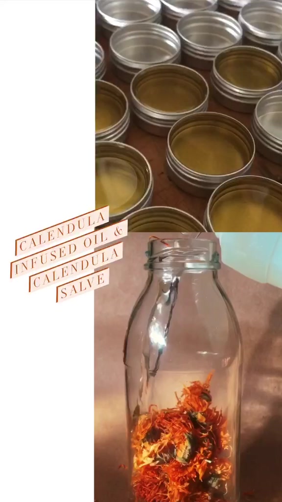 Jual Kinnara Calendula Healing Salve (Salep Eksim Eczema Luka Psoriasis ...