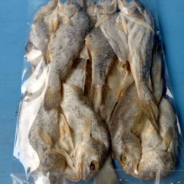 Jual Ikan Asin kepala Batu/Gulama (250 gram) | Shopee Indonesia