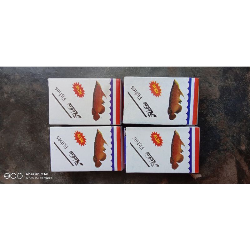 Jual obat stres ikan CHANNA/ARWANA chana gabus hias anti mager anti ...