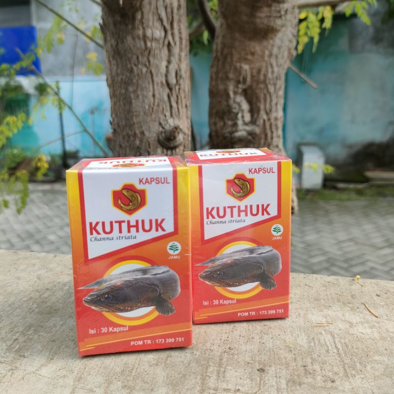 Jual Ekstrak Kutuk Kapsul Channa// Ektrak Ikan Gabus // Kapsul Kuthuk Channa // isi 30 Kapsul ...
