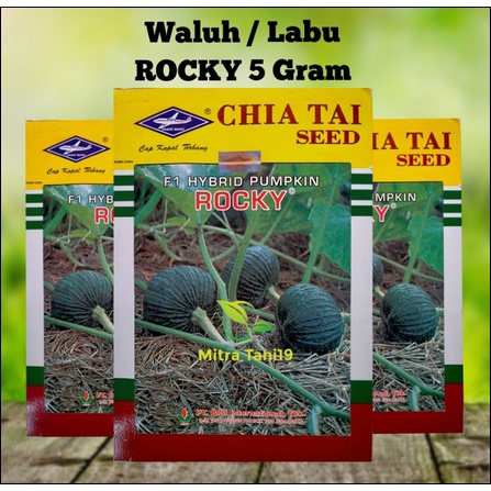 Jual BIBIT BENIH TANAMAN PERTANIAN BUAH SAYUR WALUH LABU KUNING ROCKY 5 ...