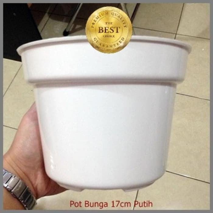 Jual Pot Plastik Putih Polos 17cm Pot Tanaman Bagus Murah | Shopee ...