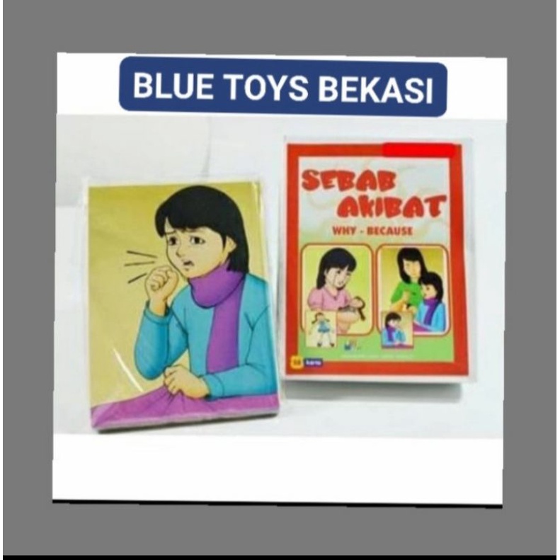 Jual [BLUETOYS] Kartu Sebab Akibat/IQ Development/Kartu Terapi Wicara ...