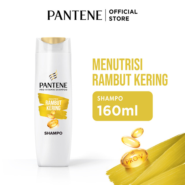 Jual Pantene Sampo Daily Moisture Pro-V Perawatan Rambut 160ml ...