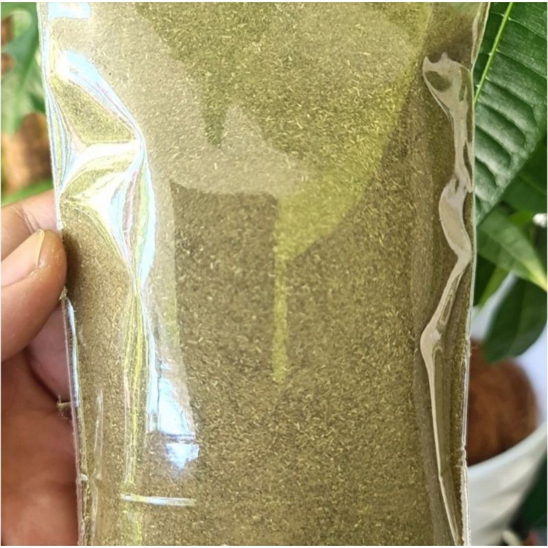 Jual Bubuk Daun Beluntas 500gr - Bubuk Daun Luntas Murni Tanpa Campuran ...