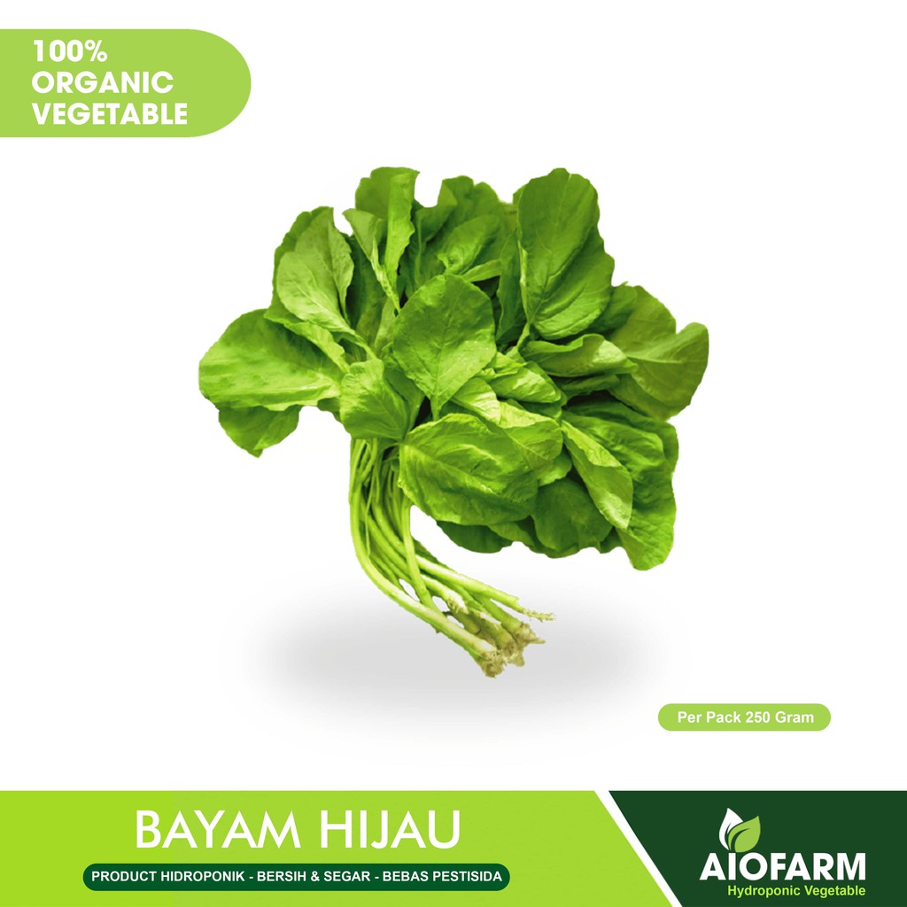 Jual Bayam Hijau Sayuran Organik / Hidroponik AioFarm 200 Gram | Shopee ...