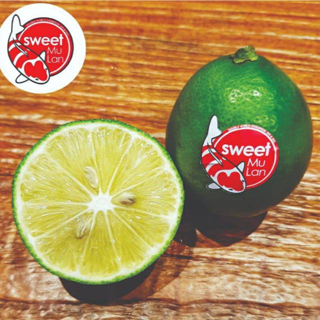 Jual Lemon Taiwan Organik - fresh - air banyak | Shopee Indonesia