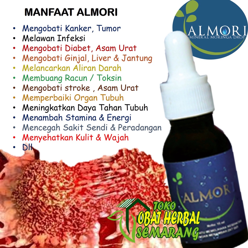 Jual Alkali Moringa 15 Ml Almori Membantu Mengobati Sakit Kanker Tumor ...