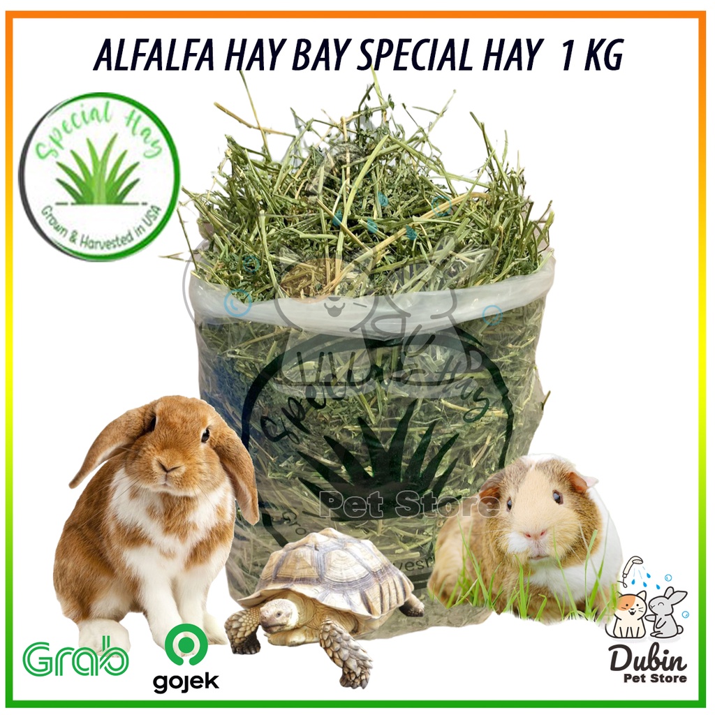 Jual Rumput Alfalfa Hay 1 kg SH Special Hay Rumput Hay Alfalfa 1kg ...