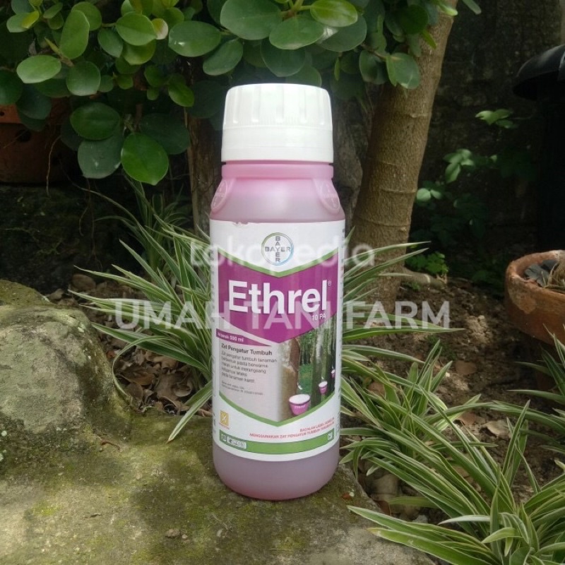 Jual ZPT Ethrel 10 PA Pemacu Pelancar Getah Karet 500 ml | Shopee Indonesia