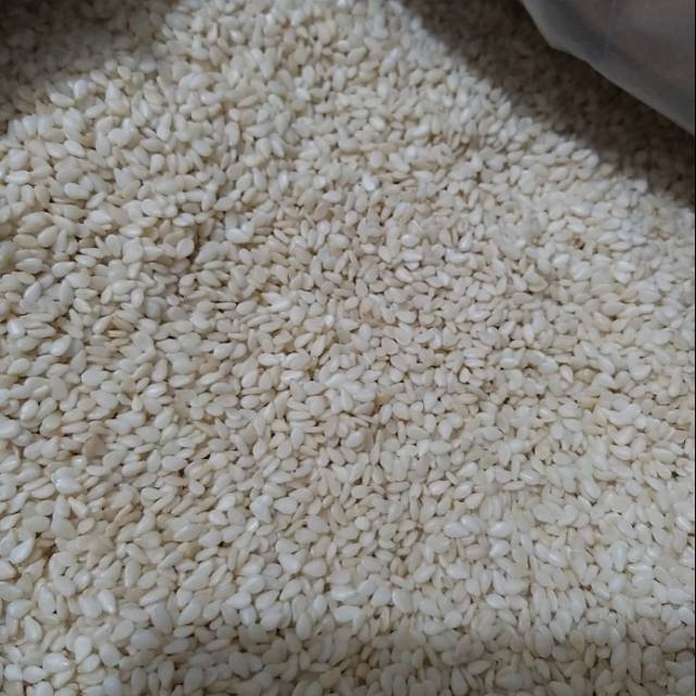 Jual Wijen Putih | Shopee Indonesia