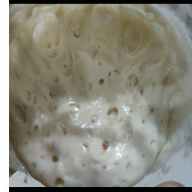 Jual Starter Sourdough Active / Ragi Alami / SOURDOUGH STARTER | Shopee ...