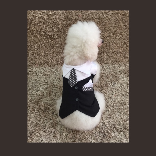 Jual Jual baju anjing/ kucing tipe TUXEDO BABY BLACK POLKA | Shopee Indonesia