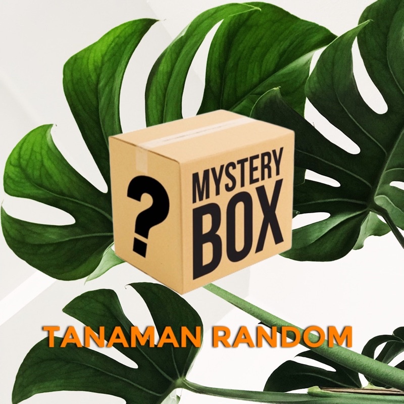 Jual MISTERI BOX TANAMAN | Shopee Indonesia