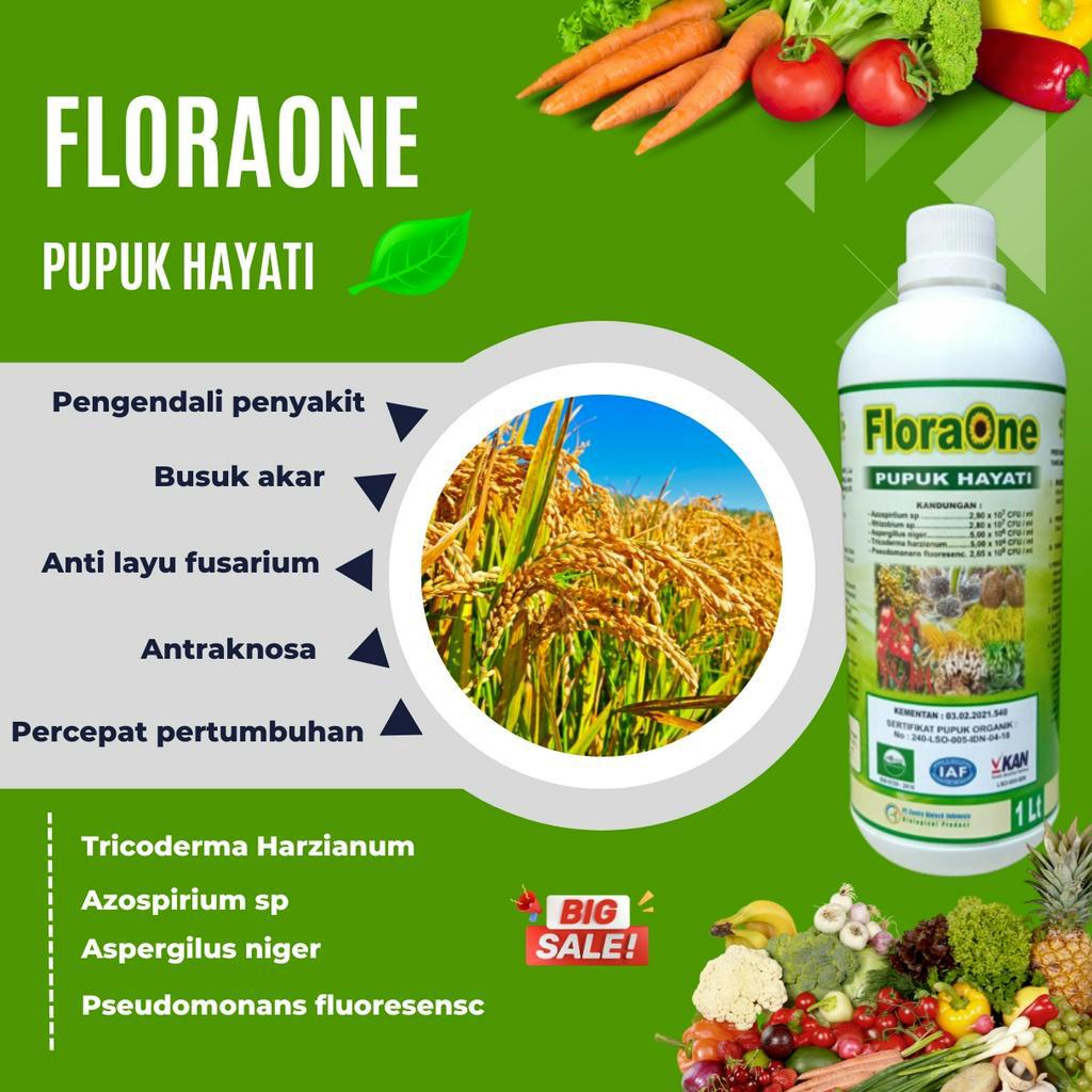 Jual Obat Padi Kerdil Daun Kuning Terbaik, Pupuk Padi Daun Kuning/Virus Kuning/Busuk Buah Padi ...