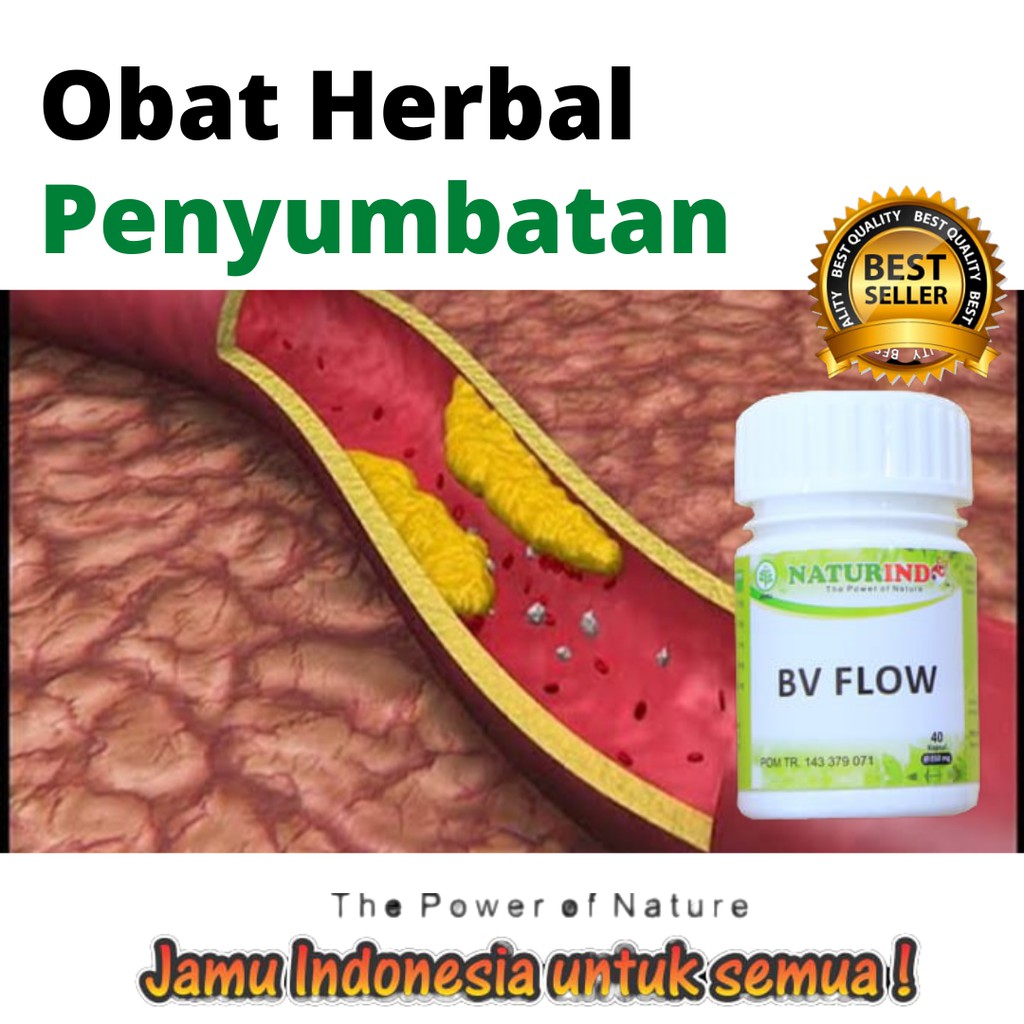 Jual BV FLOW HERBAL SPESIAL BERSIHKAN PENYUMBATAN PEMBULUH DARAH ...
