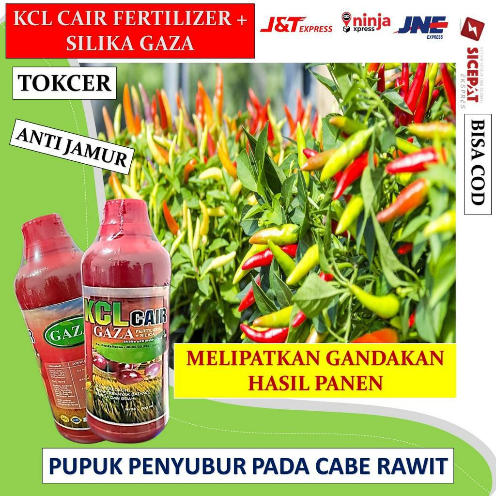 Jual pupuk KCL CAIR FERTILIZER + SILIKA GAZA 500 ml bosster cabe merah terbaik - pupuk ajaib ...