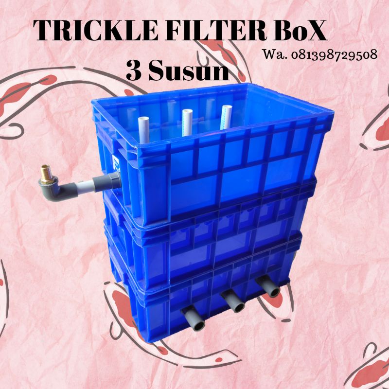 Jual TRICKLE FILTER KOLAM KOI DENGAN BOX FILTER 3 SUSUN MINI | Shopee ...