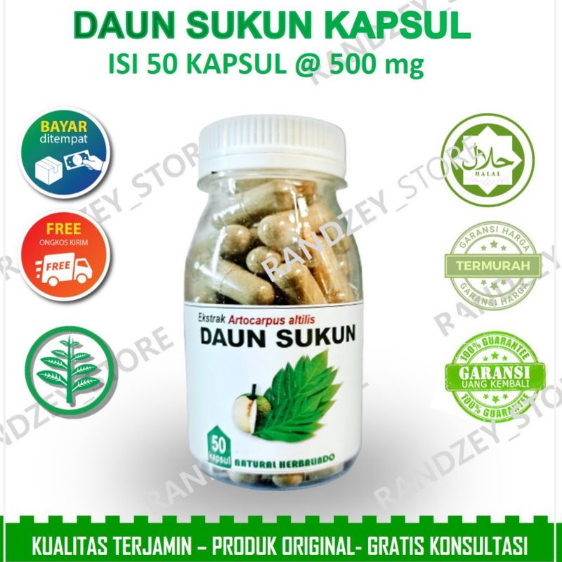 Jual Daun sukun kapsul herbal kencing batu gagal ginjal bengkak kaki ...