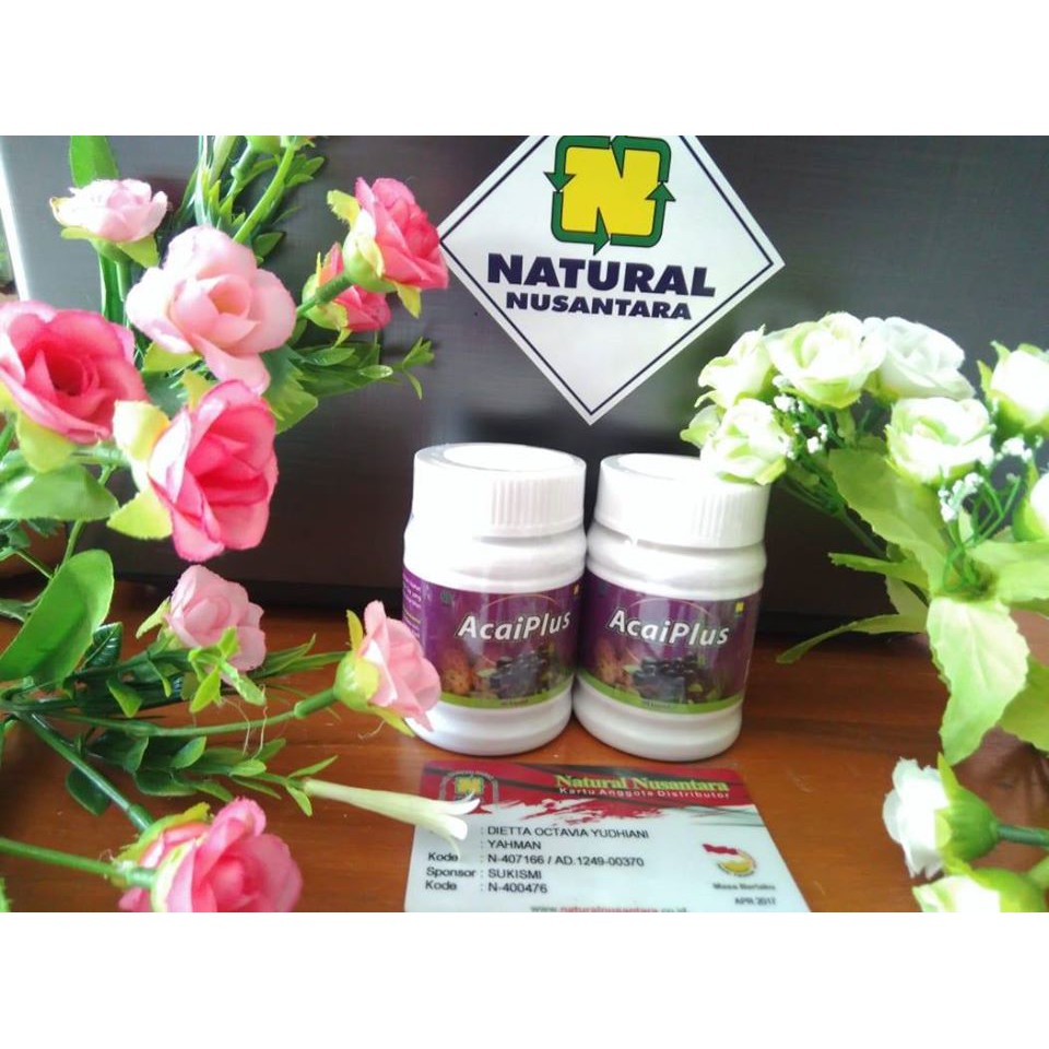 Jual ACAIPLUS NASA (PELANGSING ALAMI) | Shopee Indonesia