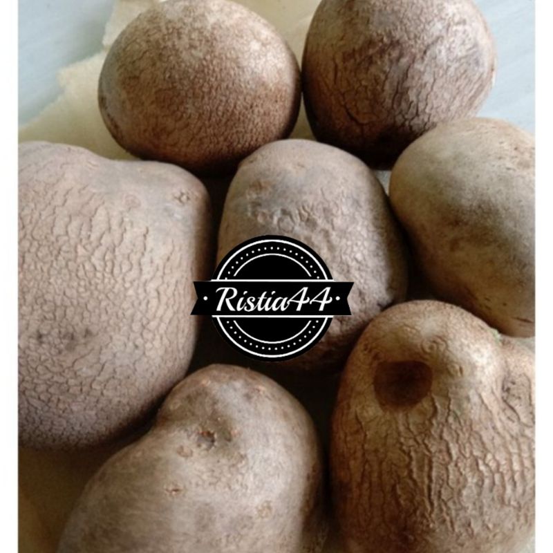 Jual Buah kentang gantung atau kentang udara per 1 kg | Shopee Indonesia