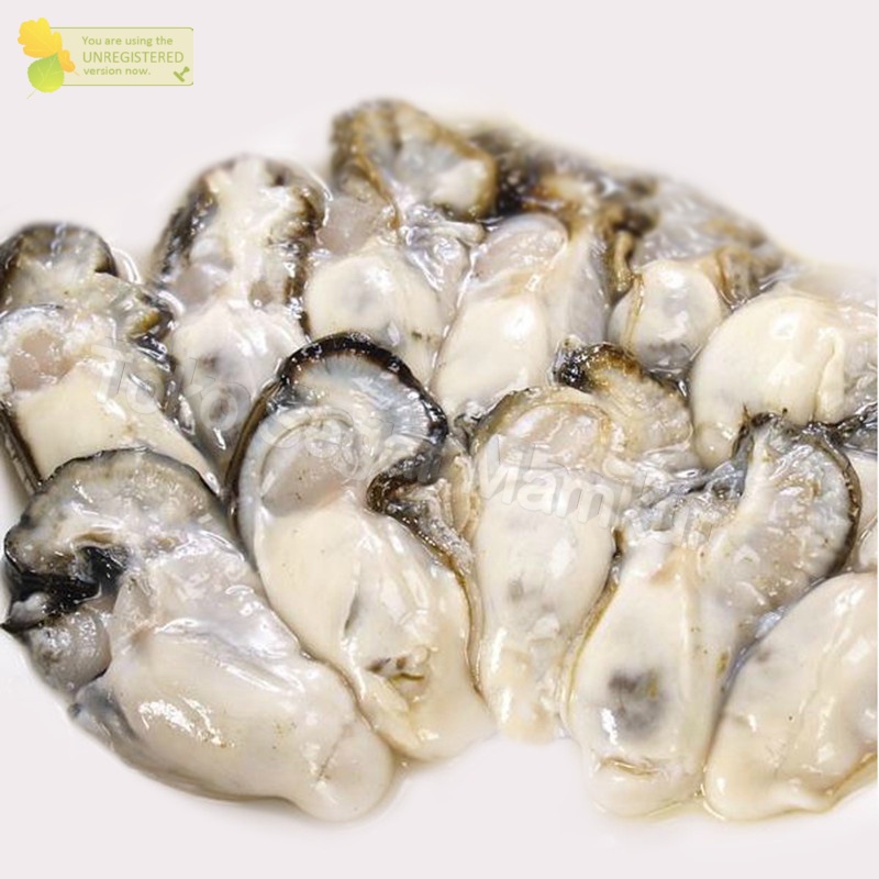 Jual Kerang Tiram Kupas Daging Tiram Oyster Segar 1Kg | Shopee Indonesia