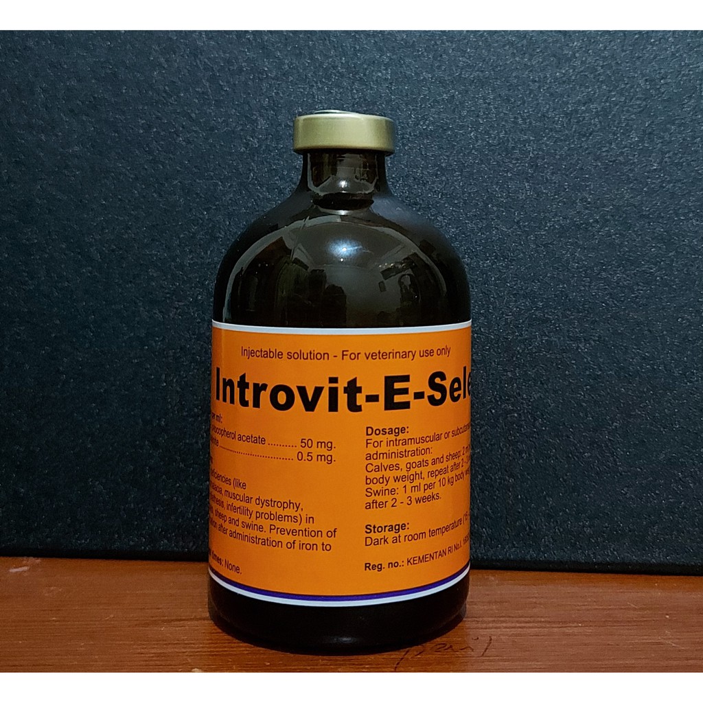Jual INTROVIT E SELEN INJECT Vitamin untuk menigkatkan daya tahan tubuh ...