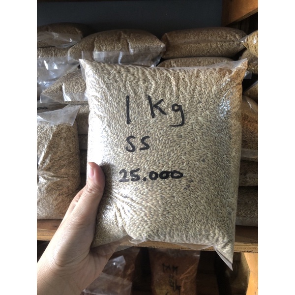 Jual padi mas ukuran 1 kg | Shopee Indonesia