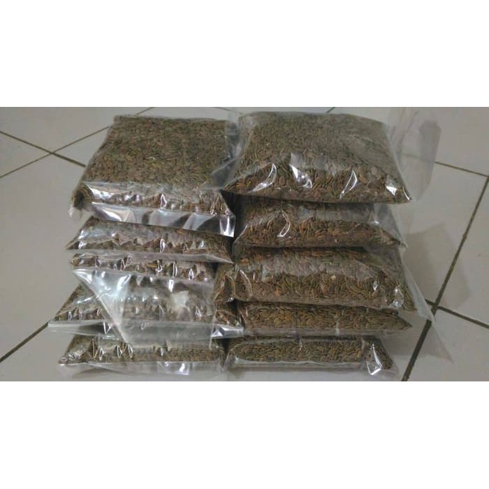 Jual Benih Albasia / kalba / Sengon Laut isi 250 gram Super unggul ...