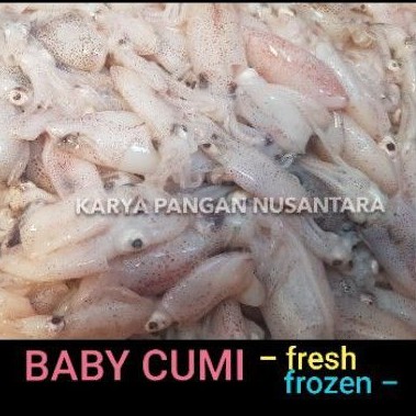 Jual Baby Cumi Fresh Frozen 500 Gr - Cumi Baby Frozen Fresh 500 Gram ...